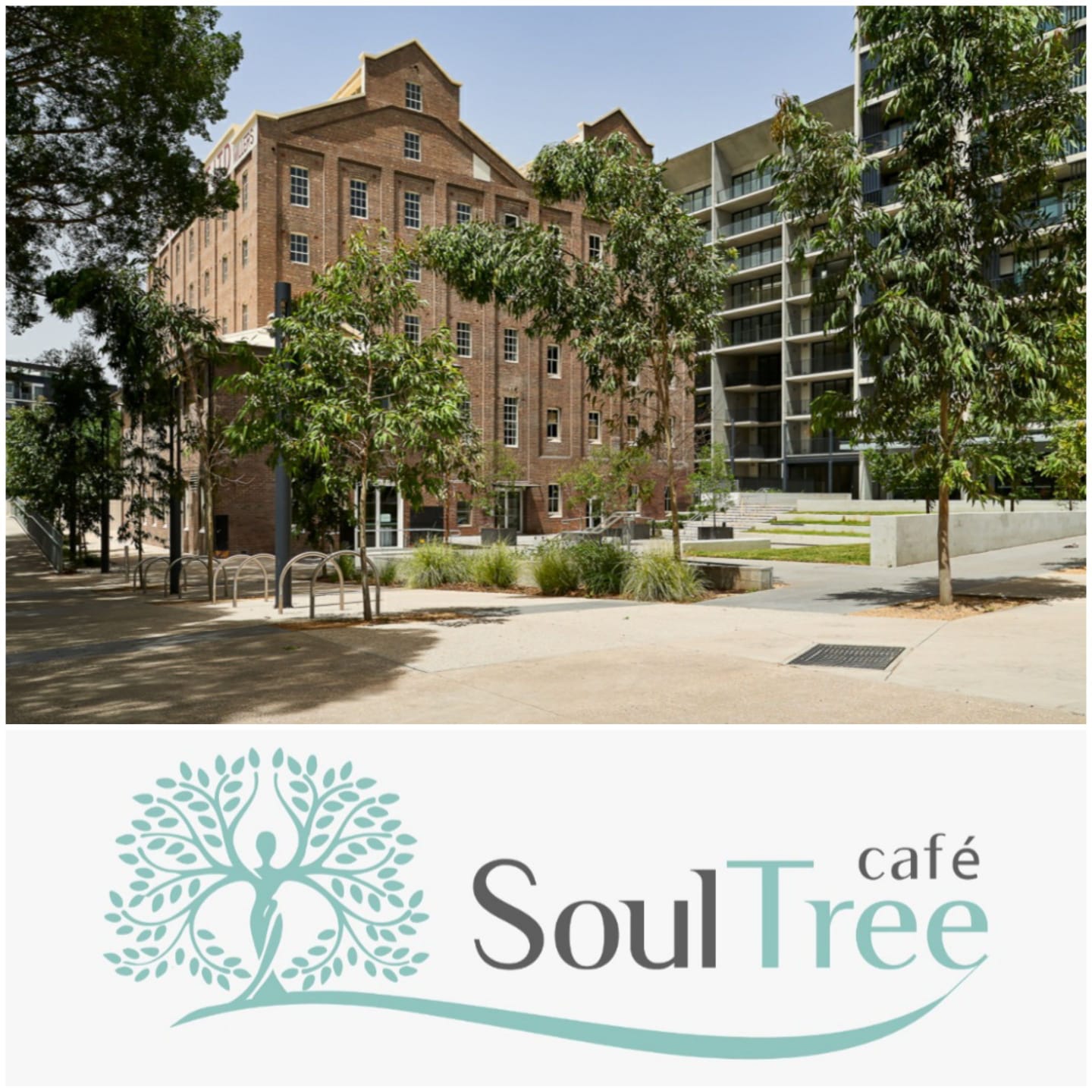 Apply now: Barista at Soul Tree Cafe - Summer Hill, NSW | Barcats