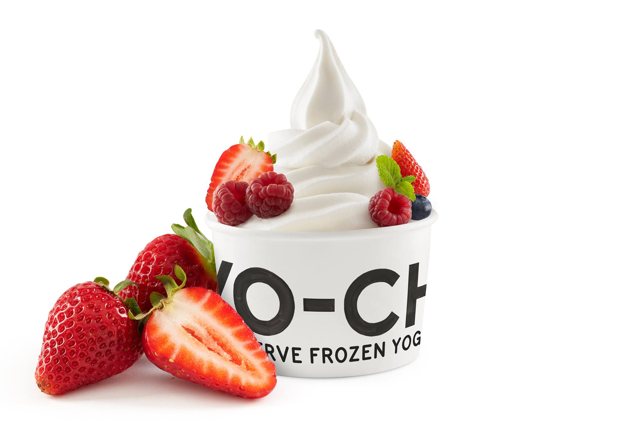 Yo Chi Frozen Yogurt Franchise at Julia Belcher blog